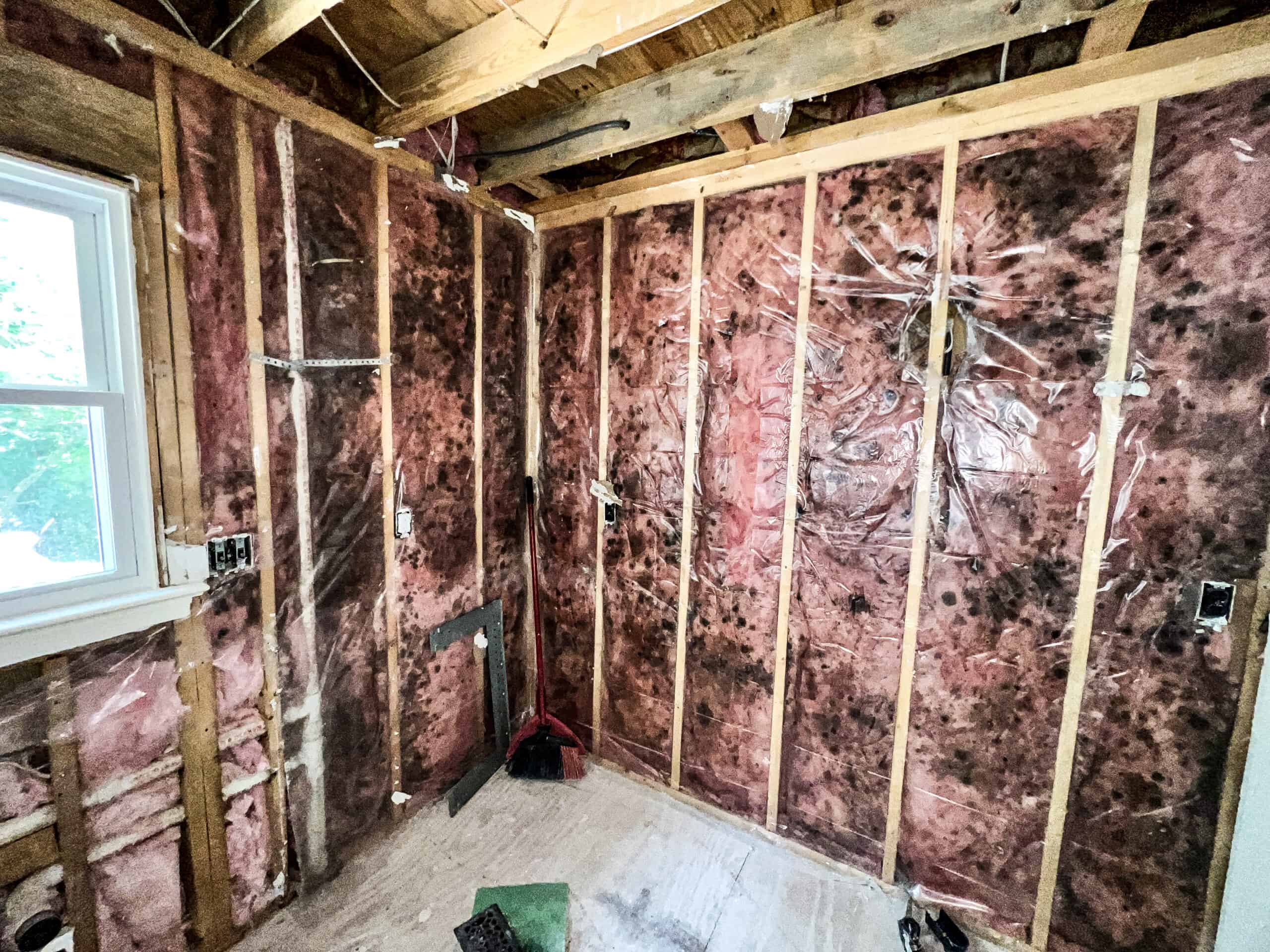 Complex Mold Exposures In Your Home - McKee Environmental